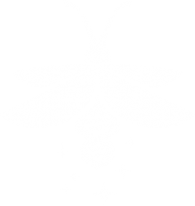 Signs and Symptoms - CCHS Network